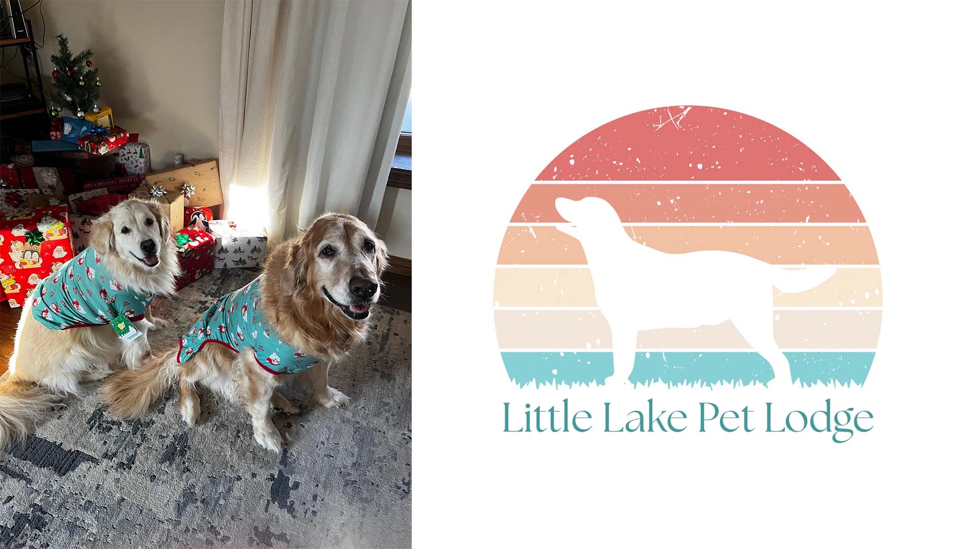 August 2025 Pets of the Month: Callie & Thor from La Follette, TN ...